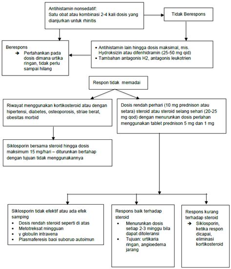Dokterpost Webinar Skp Kemenkes Workshop Kedokteran