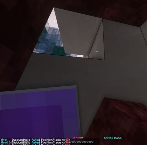 False PositionPlace Issue GrimAnticheat Grim GitHub