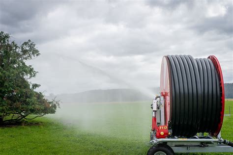 Agline — Rm Gallery