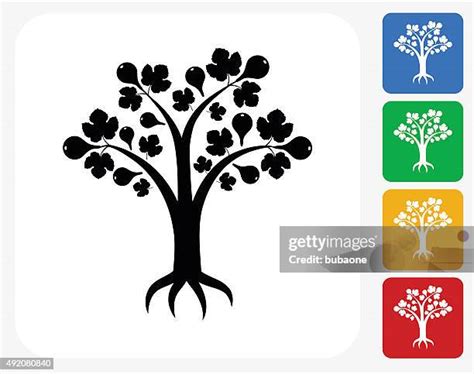 Fig Tree Vector Photos And Premium High Res Pictures Getty Images
