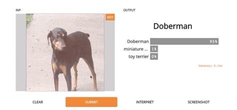 图像识别的可视化解释史 知乎