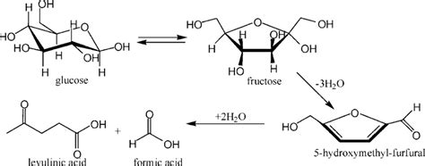 Formation And Conversion Of 5 Hydroxymethylfurfural In Acidic Medium 7