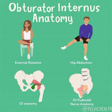 Performing Artists And Pelvic Floor Dysfunction