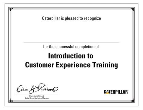Cat Ppap Certification Pdf