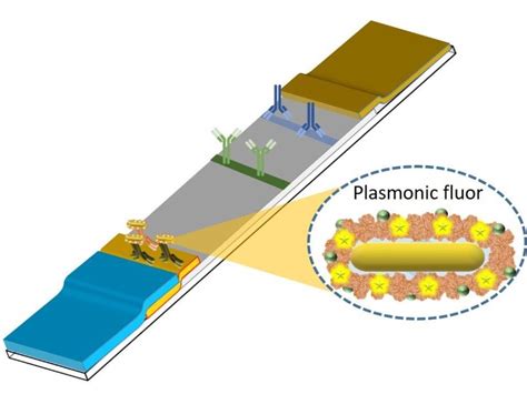Novel Lateral Flow Assay Is 1 000 Times More Sensitive Than Conventional Lfas