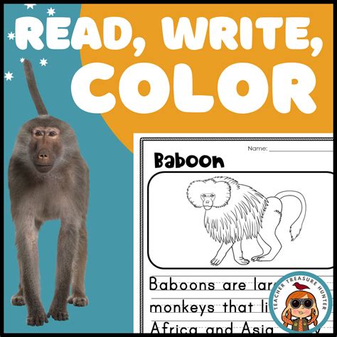 Read Write Color Made By Teachers