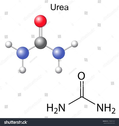 What Is The Urea Empirical Formula At Jack Belser Blog