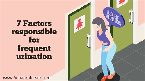 How Long Does It Take To Pee After Drinking Water Medical Opinion