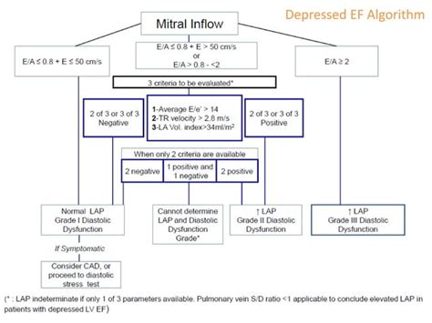 Echo Differentiation Of Restrictive Cardiomyopathy And Constrictive Pericarditis Pptx
