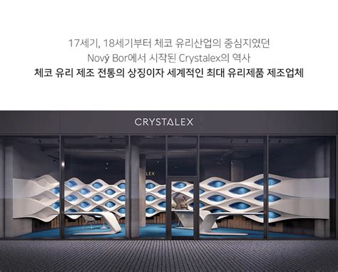 와인·양주·칵테일잔 체코 프리미엄 와인잔 지젤 보르도잔 6p 세트 오늘의집 쇼핑