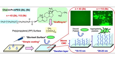 Designing A Bioinert Surface By Simple Coating With Cholesterol End