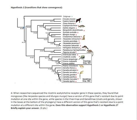 3 The Phylogeny Below Shows A Current Best