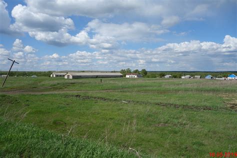 Николаевка