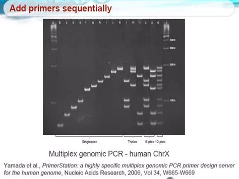 Multiplex Pcr Pptx