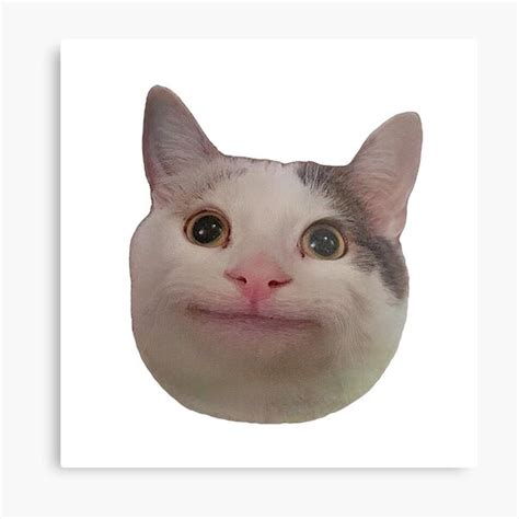 Lámina Metálica «cara Sonriente Del Meme Del Gato Beluga De Fomodesigns Redbubble
