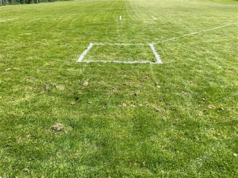 Grass Markings
