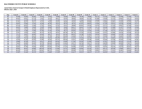 Annual Salary Scale Case