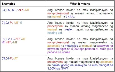 Lto Restriction Codes 2023 A Definitive Guide Filipiknow