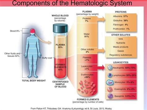Structure And Function Of The Hematologic System Flashcards Quizlet