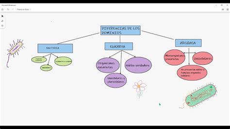 Dominios Bacteria Archaea Y Eukarya Pdf