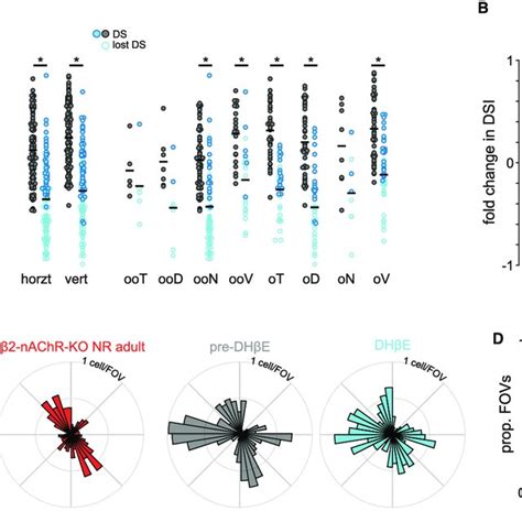 The Direction Selectivity Map Develops Independent Of Visual Experience