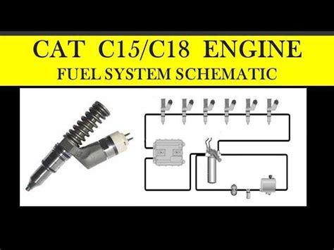 Unveiling The Inner Workings Of A Cat C12s Fuel System Wiremystique
