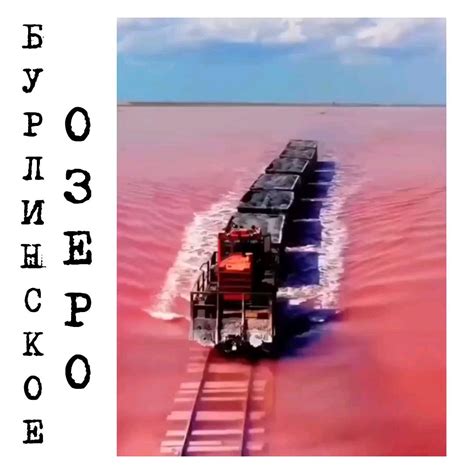 ЦАРСКАЯ СОЛОНКА — Оля Румянцева на