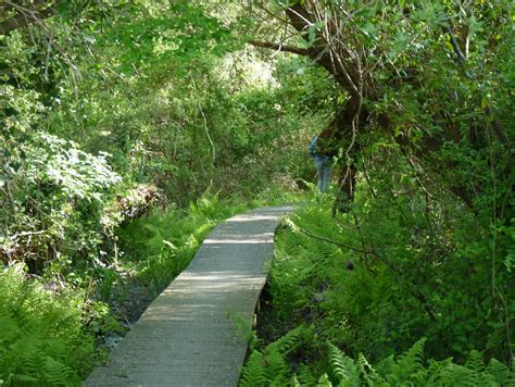 Actu Haget Toute Linfo Locale Actufr