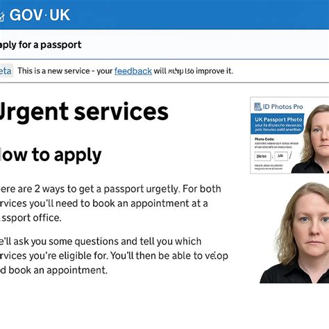 Uk Passport Photo Code In Paris Fast British Passport Renewal