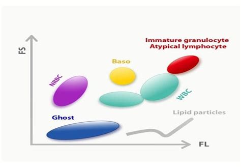 Small Cube Big Difference Mindray New Sf Cube Technology I Mindray India