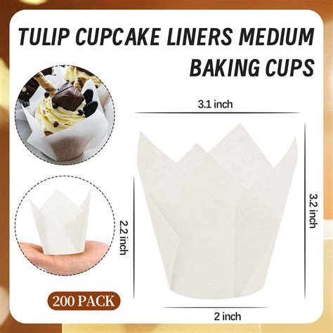 Disposable Cupcake Wrappers 200 Pack Sage Green Plaid Tulip Cupcake