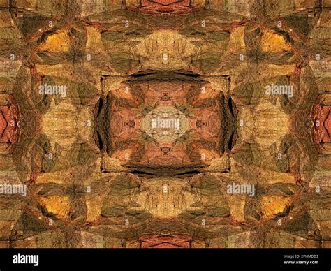 Strange Irregular Patterns On A Tree In My Home Town Of Abingdon On