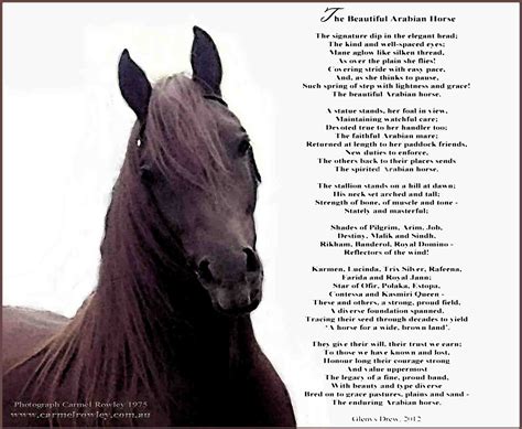 Horse Quotes And Poems