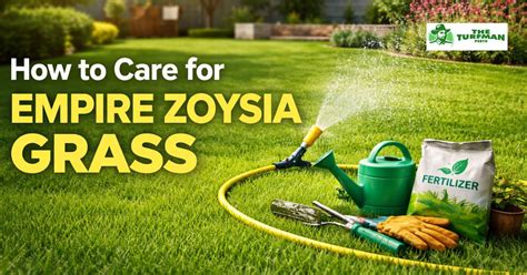 How To Care For Empire Zoysia Grass Lawn Care Guide For Perth