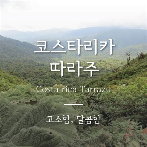 코스타리카 따라주 원두 커피 200g 라틴커피