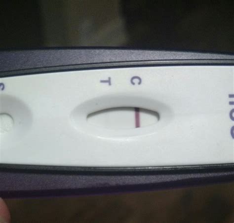 What Does A Positive Pregnancy Test Really Look Like Page 24 — The Bump