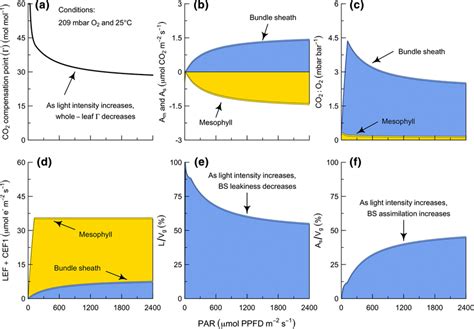 Photosynthetic Control Of Cyt B6f Occurs Independently In The Mesophyll