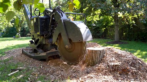 Best Tree Stump Grinder 2025 Top 10 Reviewed And Ranked