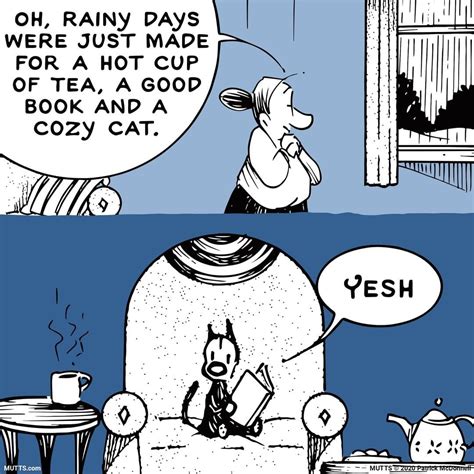 Mutts On Instagram “whats Your Favorite Way To Spend A Raining Day