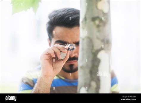 Man Looking At A Tree With A Magnifying Glass Stock Photo Alamy