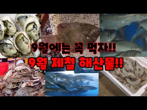 9월부터 맛이드는 9월 제철해산물