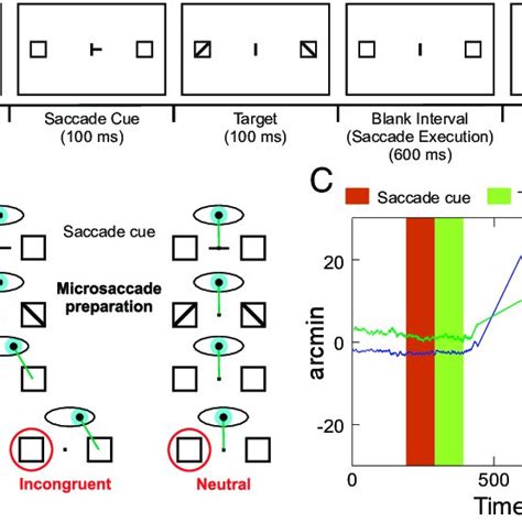 Interactive Constructive Active Passive Icap Framework For The