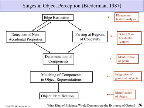 PPT Gestalt Principles Of Perception Then Introduction To Object Perception PowerPoint
