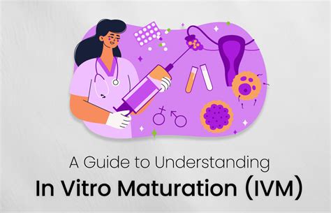 A Complete Guide To Understand In Vitro Maturation Ivm