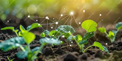 Utilizing Smart Sensors In Farm Fields To Optimize Irrigation And