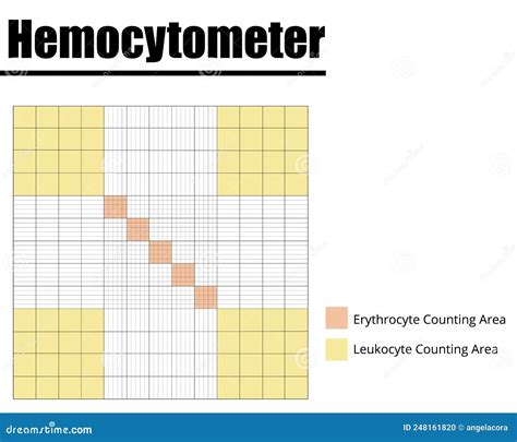 Hemocytometer Clipart And Illustrations