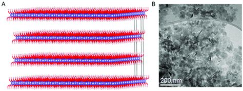 Figure A1 A Schematic Of The Cationic Layers Of The Ldh Crystal
