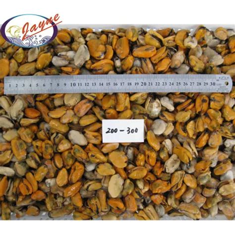 Seafood Mytilus Edulis Frozen Shellfish Without Shell Frozen Mussel