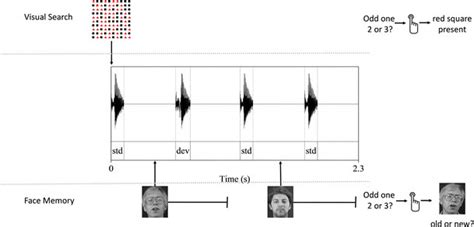 Layout Of The Stimulus Presentation In Experiment 2 The Speech Stimuli