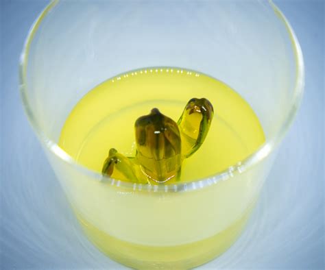 鸡尾酒 夏天 海 Pixabay上的免费照片 Pixabay